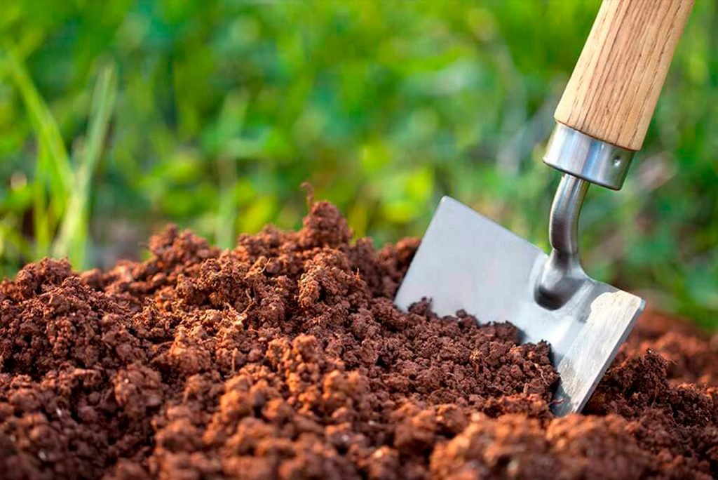 Tudo Sobre Terra Orgânica | Ecomark Fertilizantes